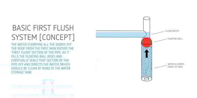 5 Ways to Keep Leaves Out of Your Rainwater Tank